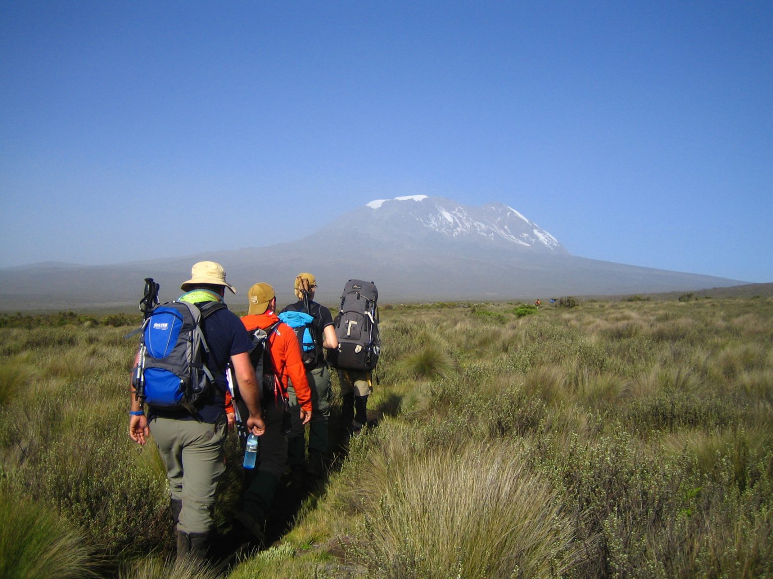 Homepage - Tanzania Safari Makers